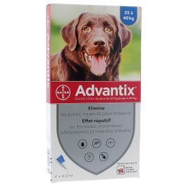 Advantix grand chien de plus de 25 kg Bayer, boite de 4 pipettes